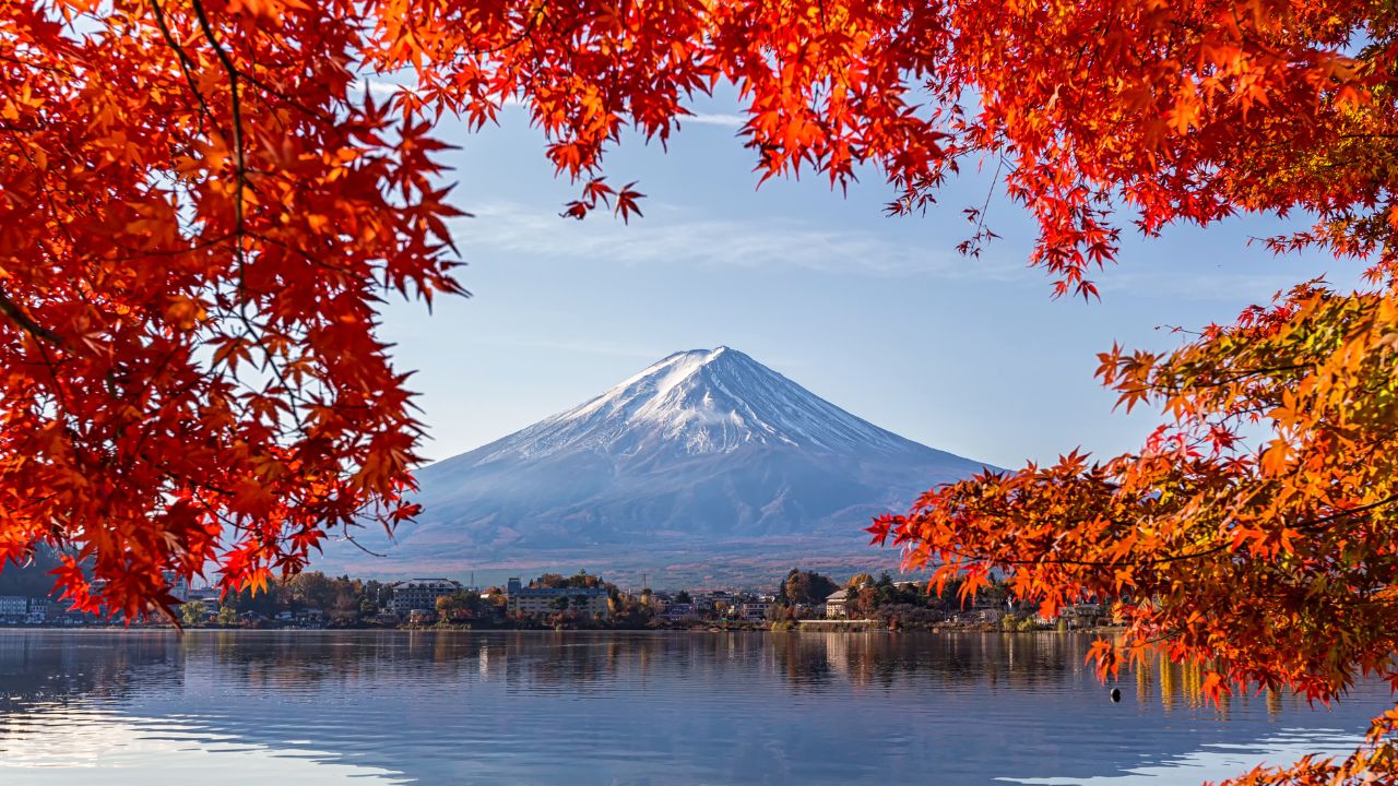 Spotting AI: Knowing How to Recognise Real vs AI Images - Britannica ...