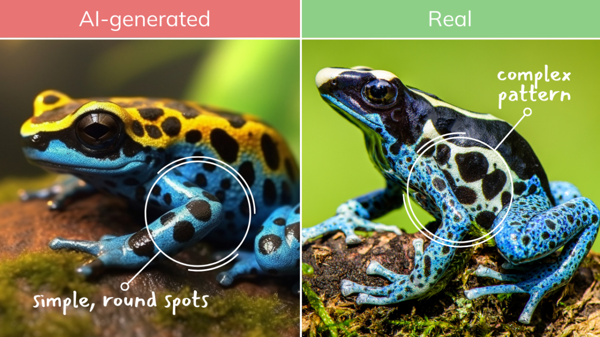 Spotting AI: Knowing How to Recognise Real vs AI Images - Britannica Education