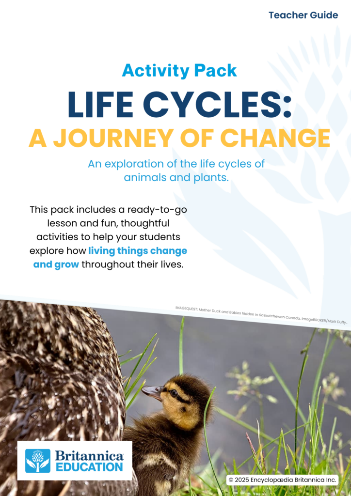 Life Cycles: A Journey of Change » Britannica Education